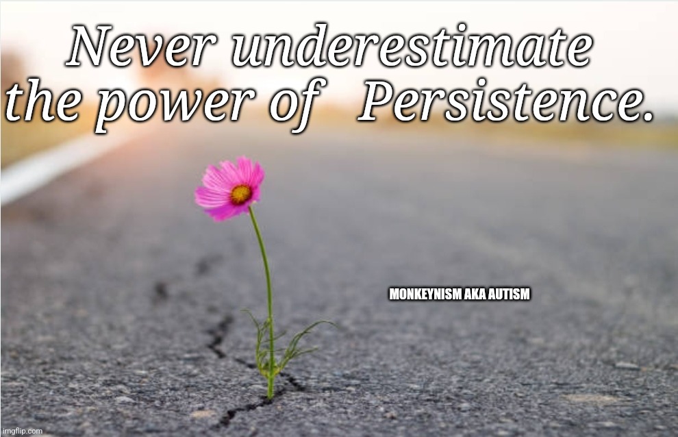 Perseverance. – Monkeynism AKA Autism